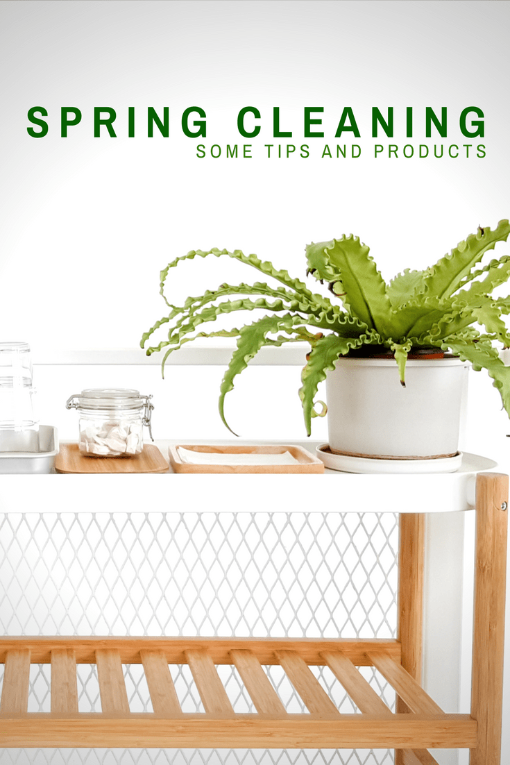 Spring Cleaning: Some Tips and Products for Moms - Teach.Workout.Love