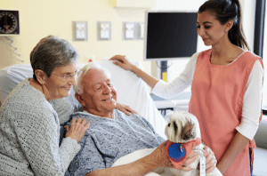 13 Ways You Can Help Out Your Local Hospital | TWL