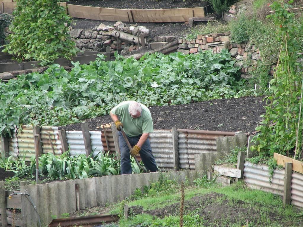5 Helpful Tips to Prepare Your Garden for Spring - Teach.Workout.Love