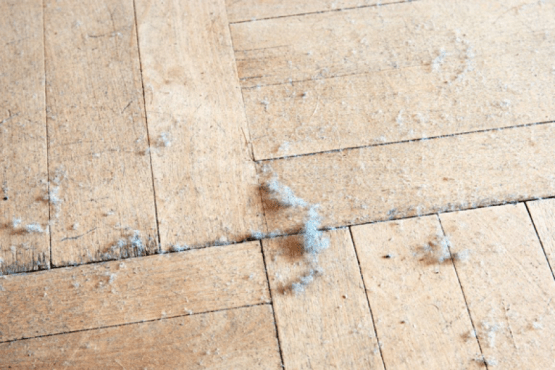 How Household Dust Can Affect Your Health - TWL Working Mom