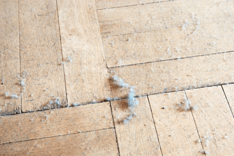 How Household Dust Can Affect Your Health - TWL Working Mom