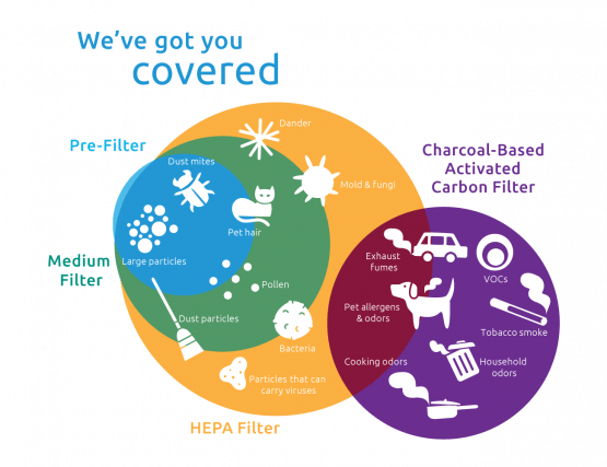 How To Get Ahead of Allergy Season With a Rabbit Air Purifier