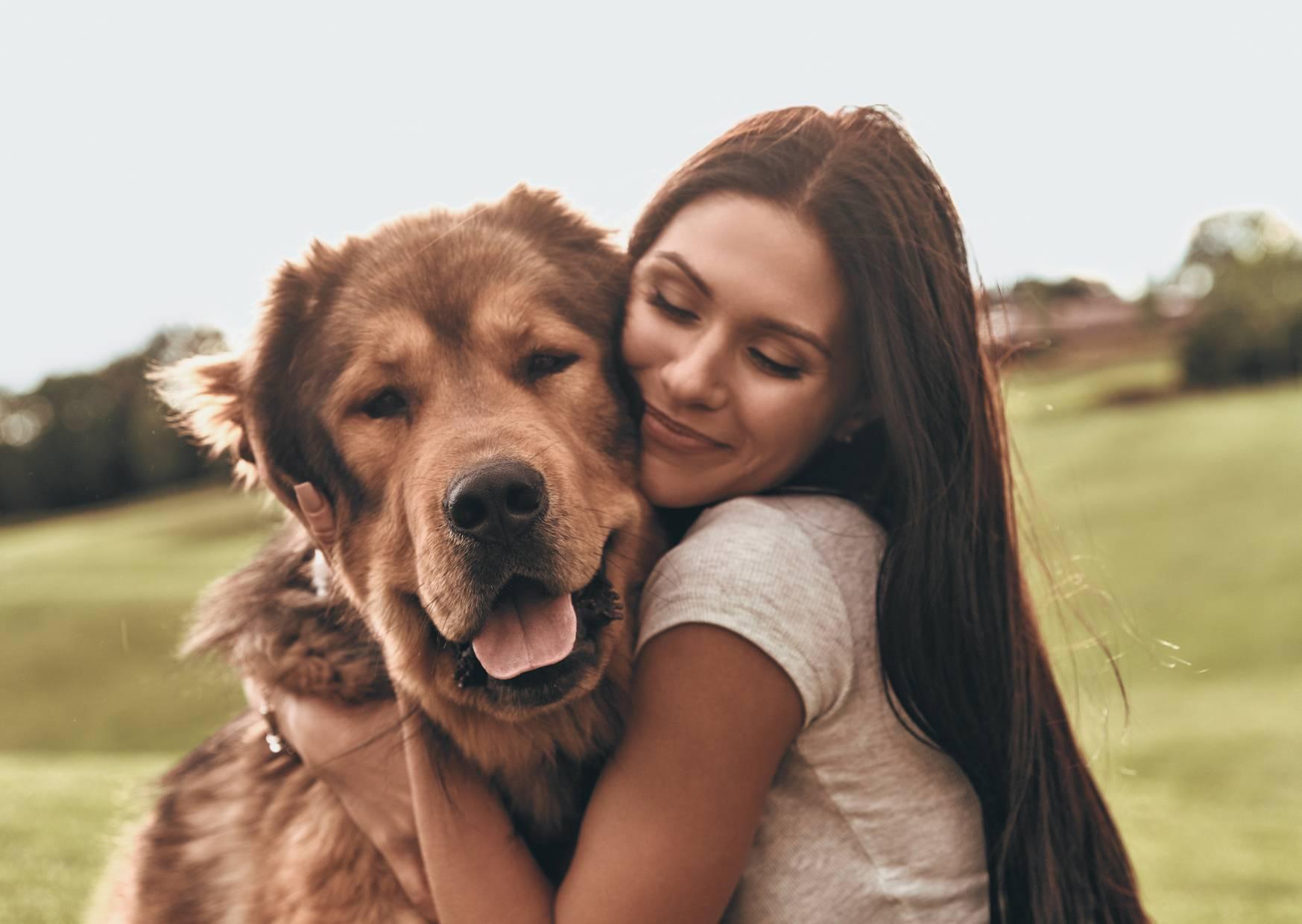 6 Ways to Help You to Be A Better Pet Parent - Teach.Workout.Love