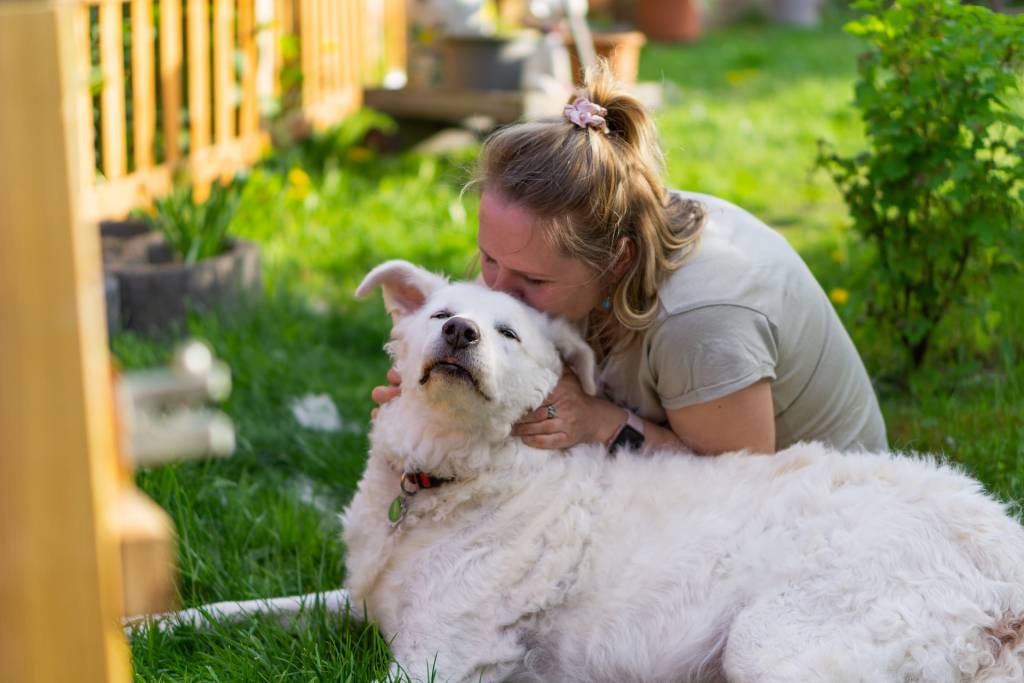 First Time Mom Should Know This About Dogs - Teach.Workout.Love