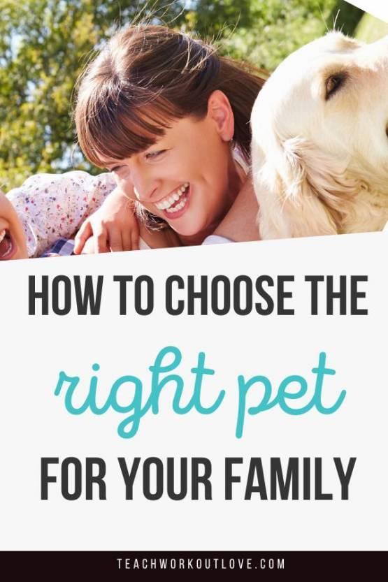 How To Choose The Right Pet For You, Your Family, And Your Life | TWL