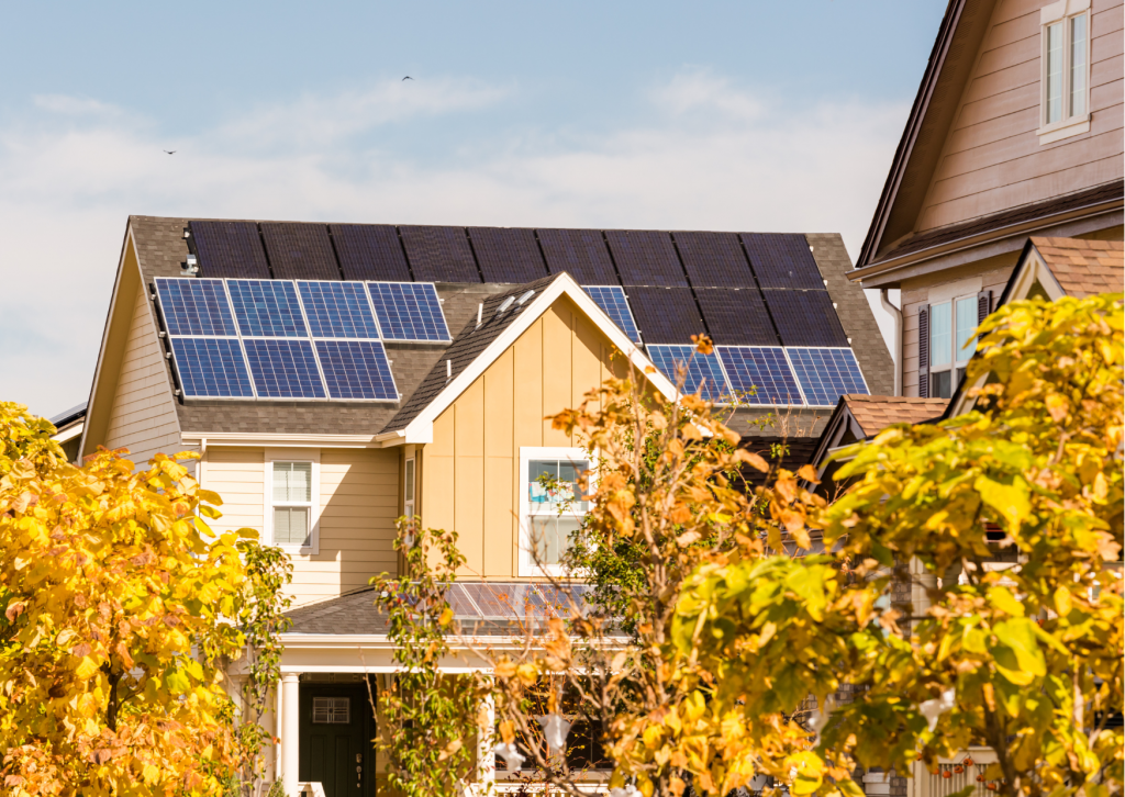 Why Solar Panels are Growing in Popularity for Homeowners | TWL
