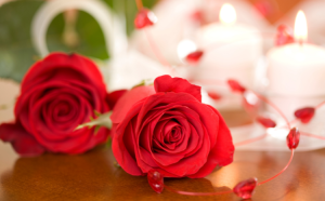 5 Fascinating Facts About Roses - Teach.Workout.Love