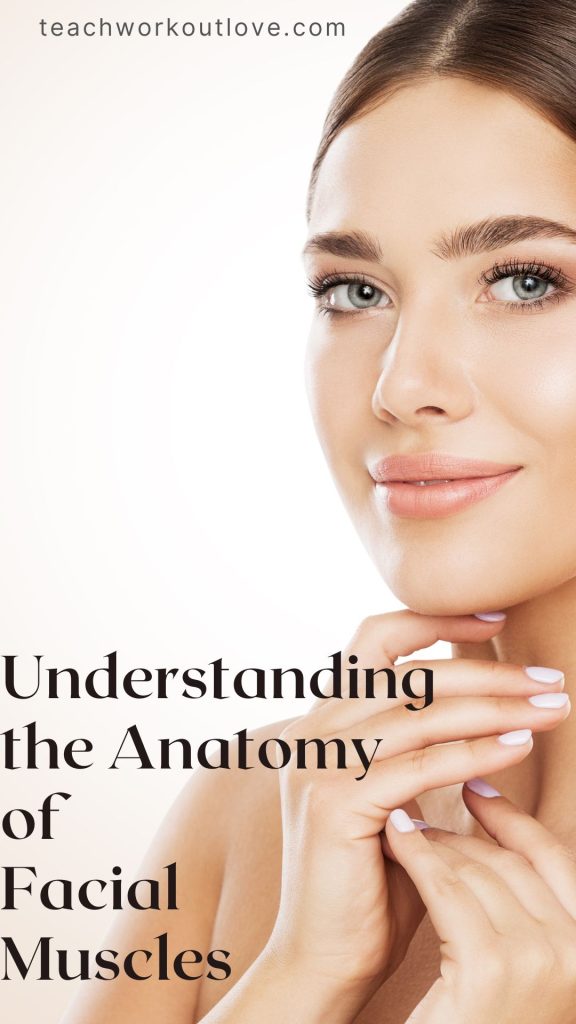 Understanding the Anatomy of the Facial Muscles | TWL