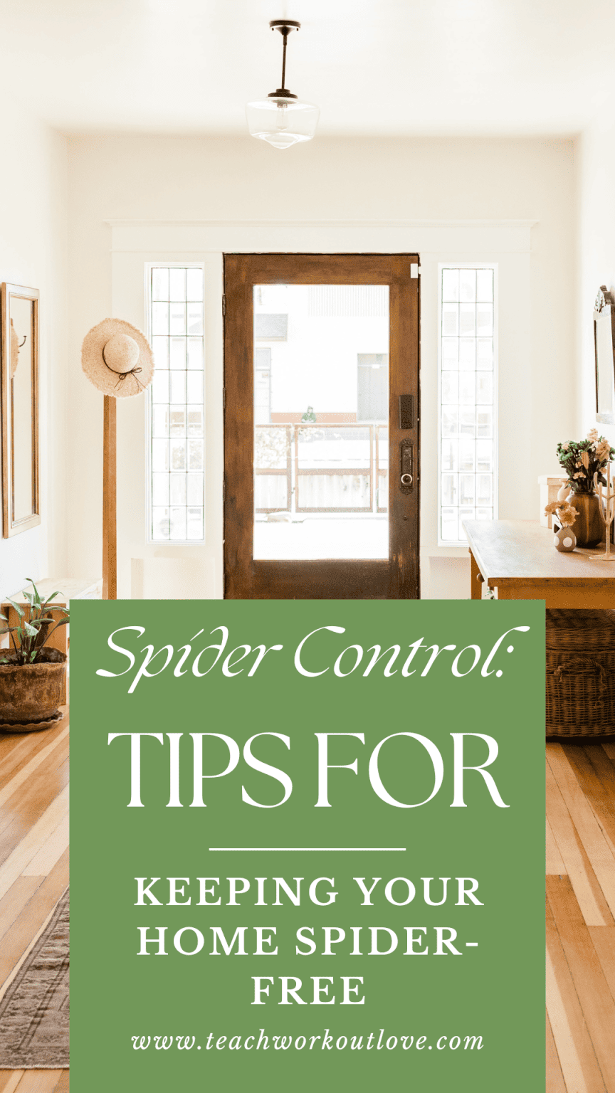 Spider Control: Tips for Keeping Your Home Spider-Free | TWL