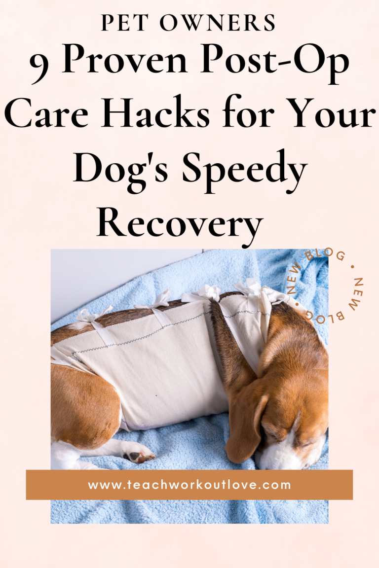 Dog After Surgery: 9 Proven Post-Op Care Hacks | TWL